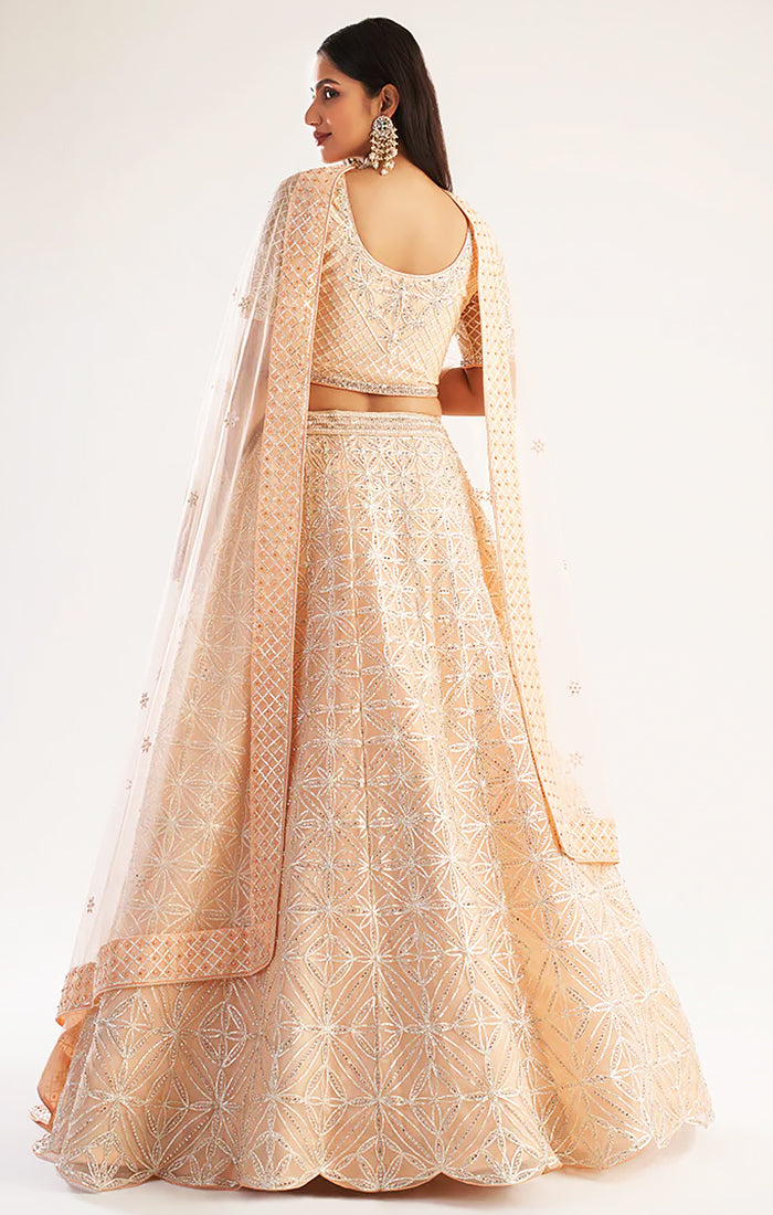 Heritage Premium Peach Heavy Embroidered Net Bridal Lehenga Choli (D69 ...