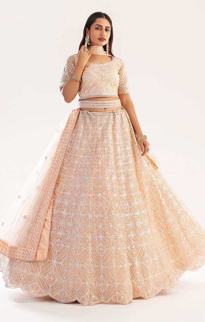 Heritage Premium Peach Heavy Embroidered Net Bridal Lehenga Choli (D69 ...